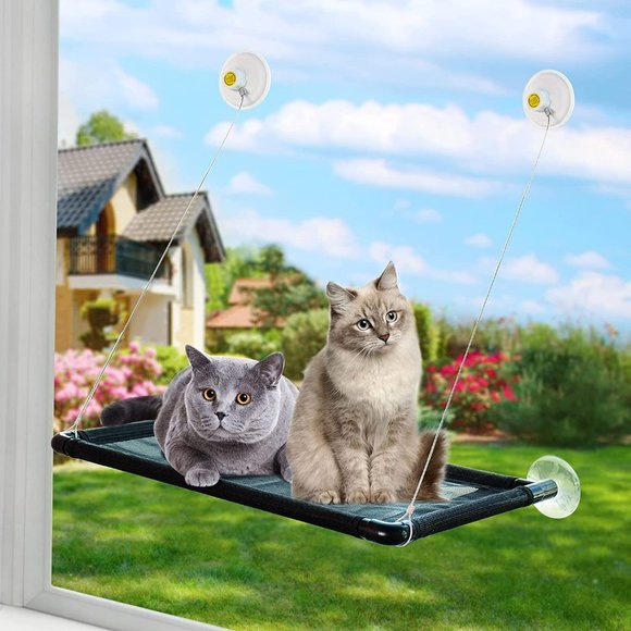 CAUTUM | Cat | New Cautum Cat Hammocks For Large Cats Cat Window Perch ...